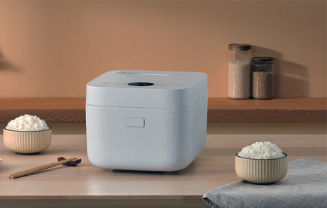 Fremont Micro Devices